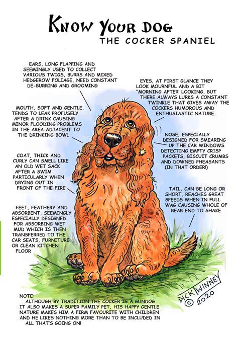 Know Your Dog Cocker Spaniel Greeting Card By Dick Twinney Csp