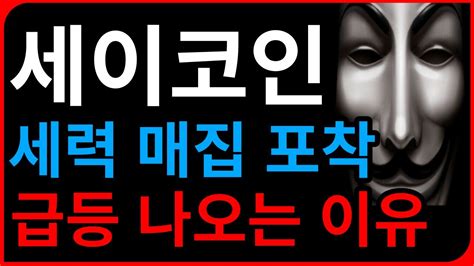 세이코인 전망 세력 매집 포착 급등 나오는 이유 Youtube