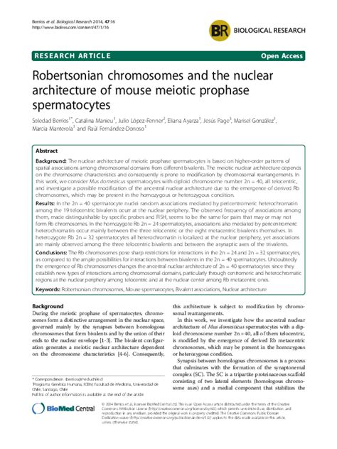 Pdf Robertsonian Chromosomes And The Nuclear Architecture Of Mouse