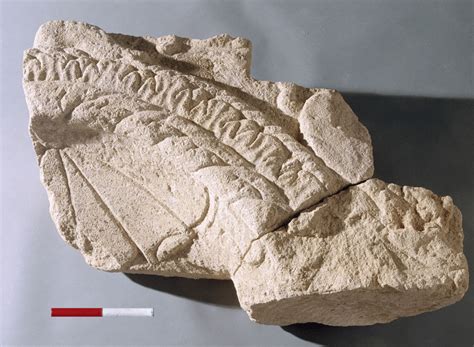 Sculpted Shell Canopy 95745 95801 © Historic England Download Scientific Diagram