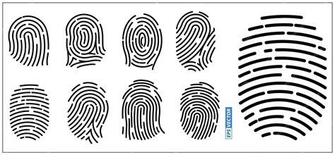 Premium Vector Set Of Realistic Fingerprint Icon Isolated Or Security Systems Access