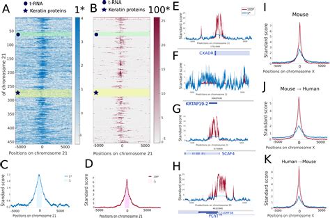 Genome Annotation Across Species Using Deep Convolutional Neural Networks PeerJ