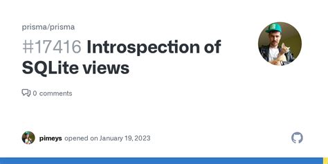 introspection of sqlite views · issue 17416 · prisma prisma · github