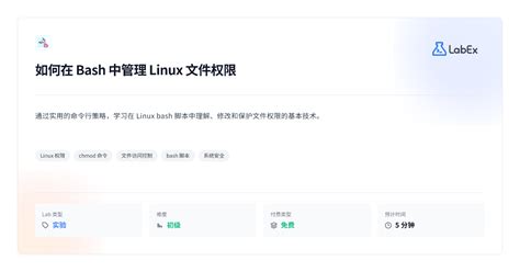 如何在 Bash 中管理 Linux 文件权限 Labex