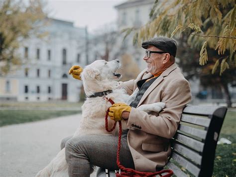 Dr Luis Eguia Md Cardiology In Mcallen Tx Healthline Findcare