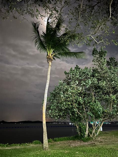 Importing Stock Data From Nse ‘portal And Saving As ‘csv File By Rajeev Bhadola Nerd