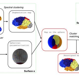 Flowchart Of Individual Spectral Clustering And Inter Individual Download Scientific Diagram