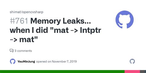 Memory Leaks When I Did Mat Intptr Mat · Issue 761 · Shimat