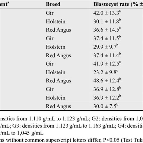Gradient Effect On Blastocyst Rate Means Of In Vitro Produced Bovine