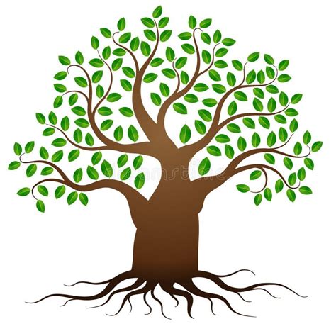 Vector Green Tree With Roots Stock Vector Image 54046100