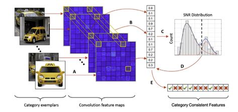 Datasets Code The Eye Cog Lab