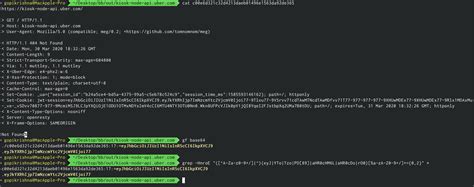 Grep Base64 Output Is Wrong · Issue 33 · Tomnomnomgf · Github