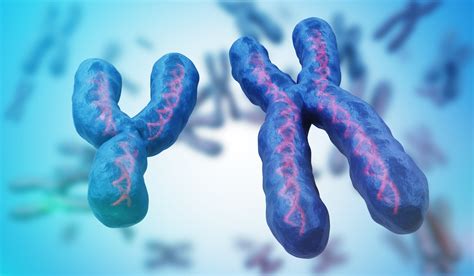 30 Facts About Sex Linked Traits