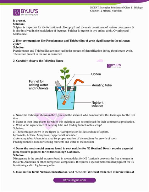 Simple Nitrogen Cycle Ncert