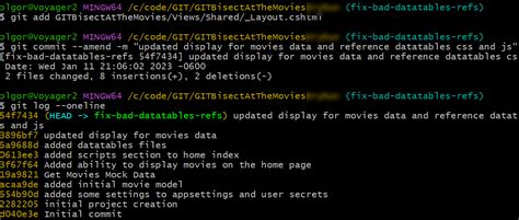 Git Bisect And History Rewriting