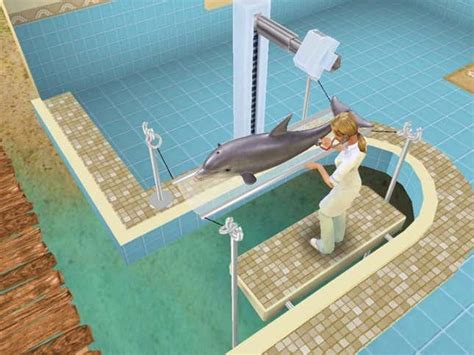 Pet Vet 3d Animal Hospital Down Under Screenshots And Videos Kotaku