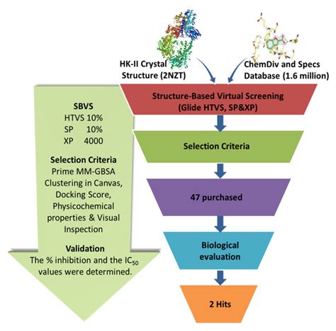 the virtual screening workflow download scientific diagram