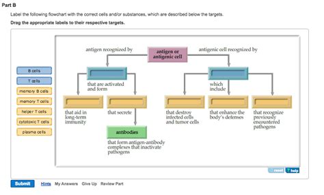 Blood Components And Their Functions Blood Chegg Com