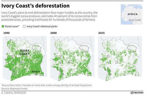 Here Is Exactly How Cocoa Farming Is Causing Deforestation The