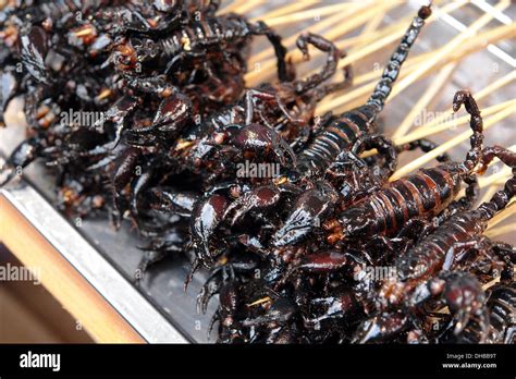 Food With A Crunch These Exotic Dishes Are Unique And Have Been Part