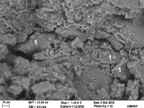 SEM Photomicrographs Clay Matrix And Silica In A Sample From The Download Scientific
