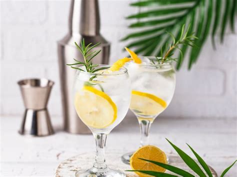 Bedste Ginglas Til Gin Og Tonic Drinks