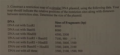 Solved 3 Construct A Restriction Map Of A Circular Dna