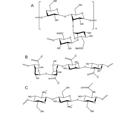 Structural Features Of Natural Matrix Polysaccharides A Molecular Download Scientific