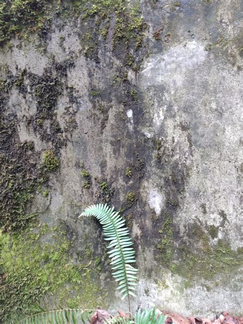 Dressing The Part Watershed Notes