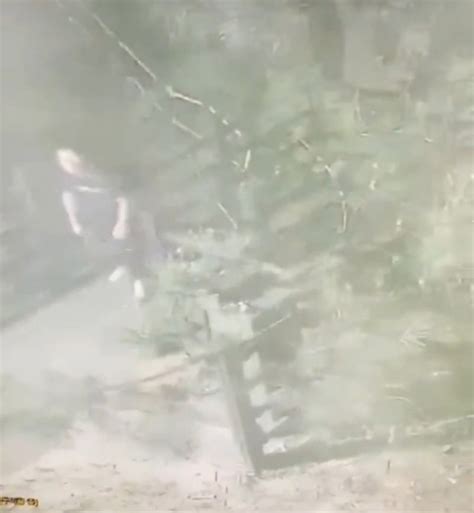 성욕 해소하려다 거센 저항에 도주 성폭행 시도 은둔형 40대男 구속 파이낸셜뉴스