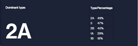 Neurotyping Test Clarification 3 Typologies All Together Christian