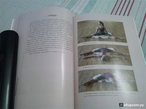 Книга: Инь-йога. Теория и практика - Пол Грилли. Купить книгу, читать ...