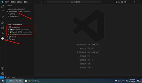 使用vscode替代jupyter Notebook Vscode Jupyter Notebook Csdn博客