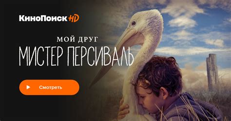Мой друг мистер Персиваль (2019) – КиноПоиск