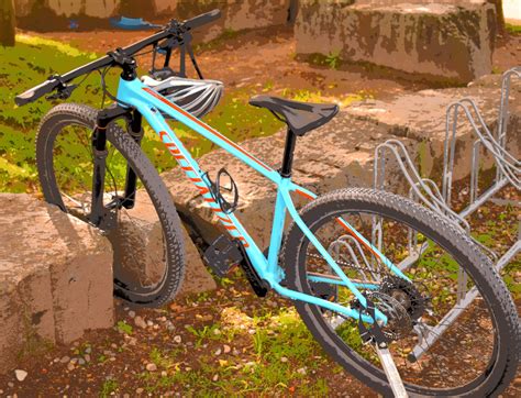 Career Path Master Skills Series