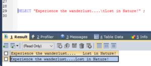 Escape Character SQL Learn The Escaping Single And Double Quotes