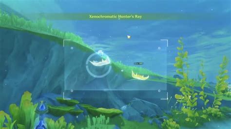 How To Photograph Xenochromatic Fontemer Aberrants In Genshin Impact