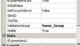 Validation Group In ASP Net