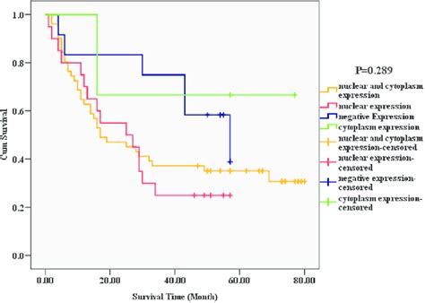 Correlation Between The Localization And Expression Of A Single Marker