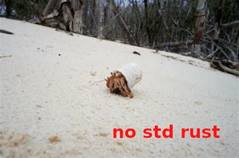 No Std Rust R Rustjerk