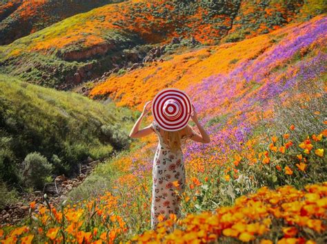 Spring Theme Pictures