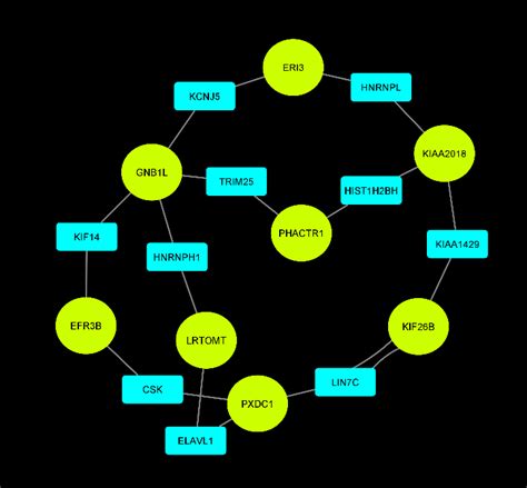 Mcode Analysis Using Mcode 18 Densely Connected Genes In The