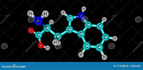 Tryptophan Molecular Structure Isolated On Black Stock Illustration