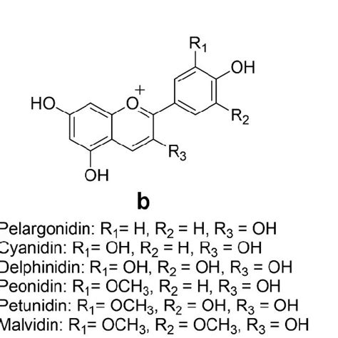 Chemical Skeleton Of Anthocyanin A Flavylium Cation B Most Common Download Scientific