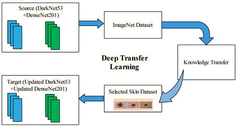 Diagnostics Free Full Text MSRNet Multiclass Skin Lesion Recognition Using Additional