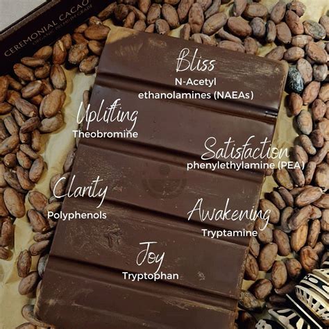 How Does Cacao Work Seleno Health