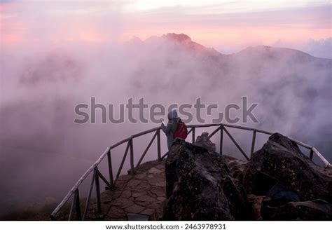 Pico Check Photos Images Pictures Shutterstock