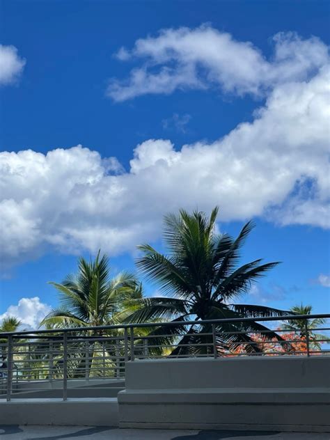 Day 3 사이판 4박5일 여행일정 켄싱턴호텔 Pcr 검사 택시 사기 월드리조트 워터파크 네이버 블로그