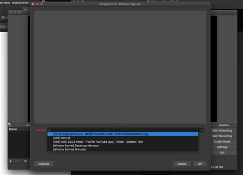 Bug Obs On Macos Catalina Does Not Request Required Permissions To
