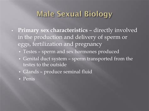 PPT Human Sexual Anatomy PowerPoint Presentation Free Download ID